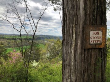 A Complete Guide to Branson Hiking Trails - ...and Blue Sky