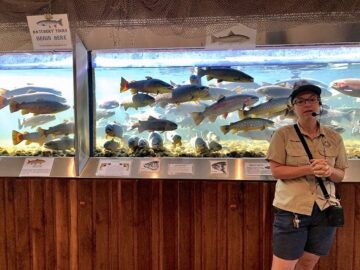 Visiting Shepherd of the Hills Branson Fish Hatchery - ...and Blue Sky