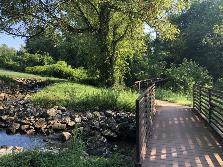 Visiting Shepherd of the Hills Branson Fish Hatchery - ...and Blue Sky