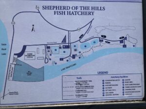 Visiting Shepherd of the Hills Branson Fish Hatchery - ...and Blue Sky